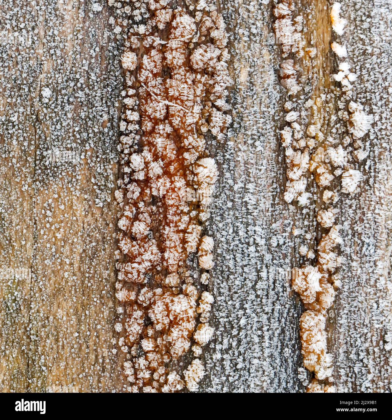 Wabi sabi texture hi-res stock photography and images - Alamy