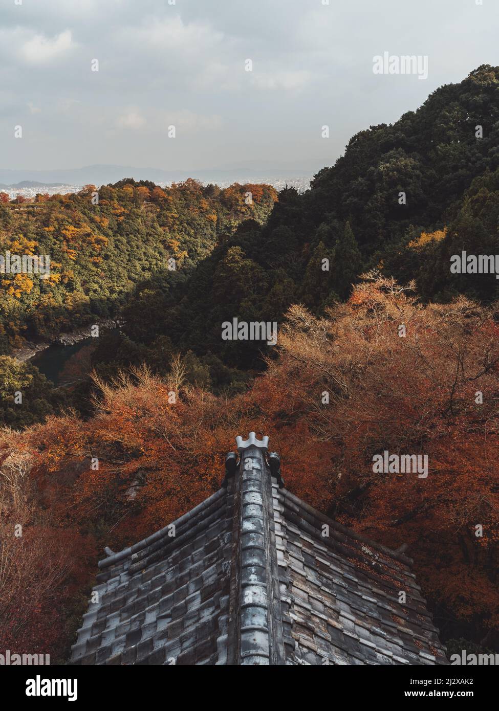 The Kyoto shrine was captured in a forest during leaf-fall, Japan Stock ...