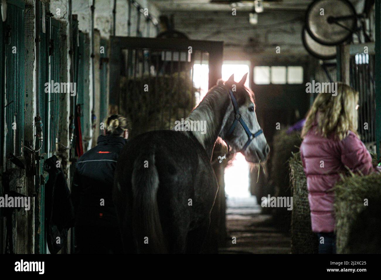Wartime stables hi-res stock photography and images - Alamy
