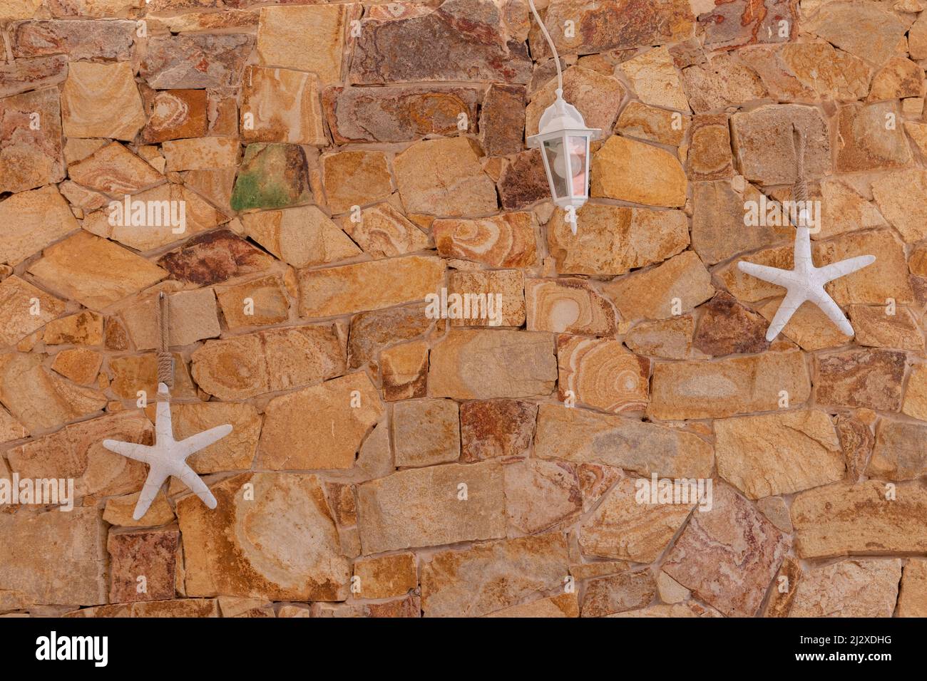 Clay starfish hi-res stock photography and images - Alamy