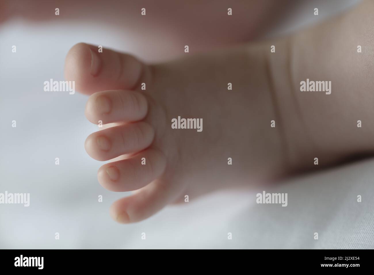 Macro shot of little baby toes. First long nails for cutting Stock ...