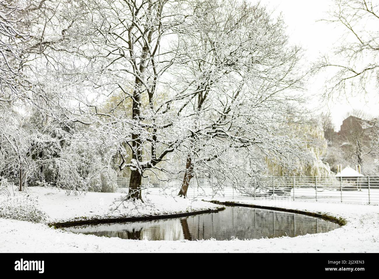 Pond with reflection of snow covered trees with graphic frosted ...