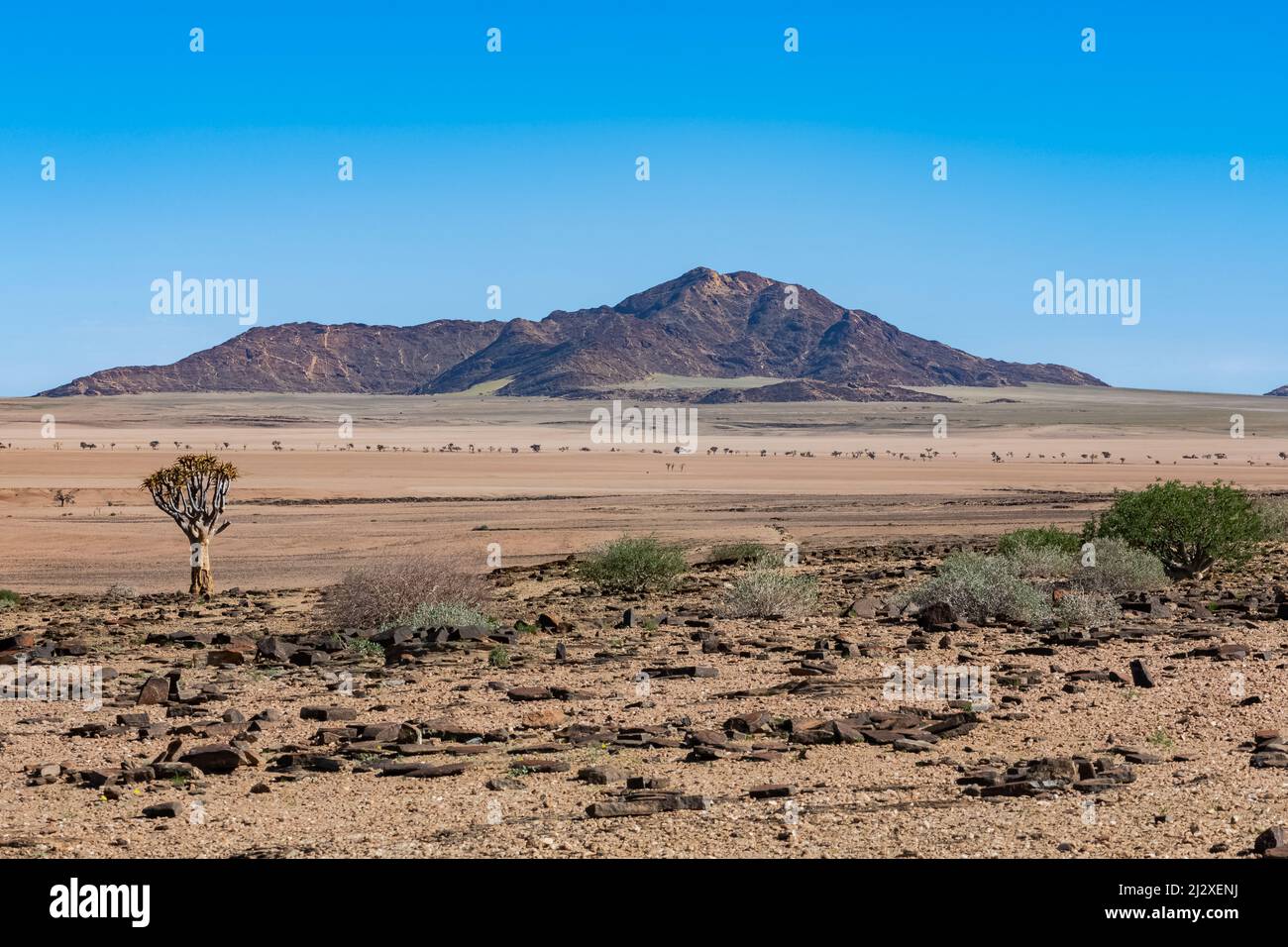 Namibia, panorama of the Namib desert, wild landscape with a dirt road ...