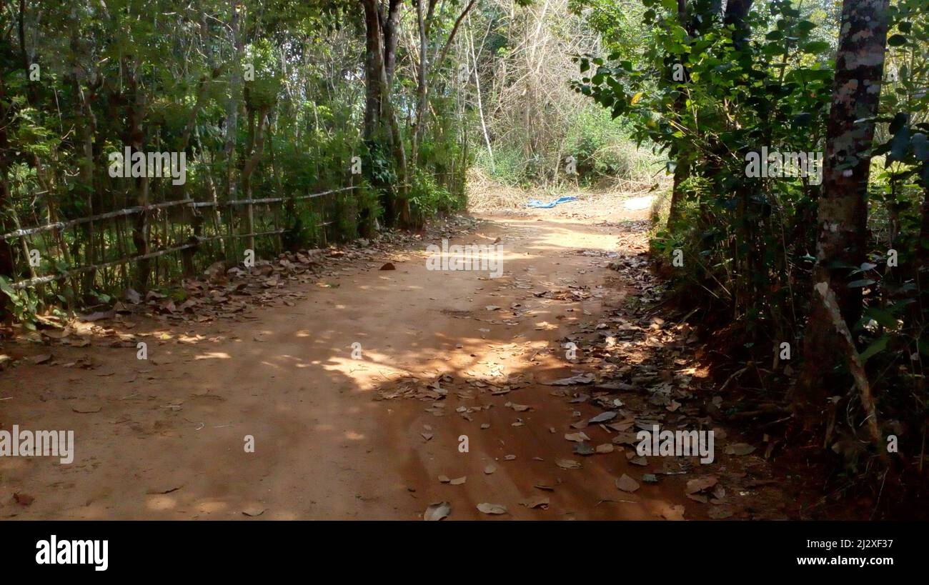 A Nature photography of village mud Stock Photo - Alamy
