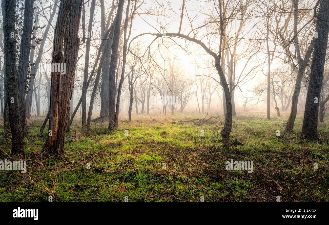 Indian hills kentucky hi-res stock photography and images - Alamy