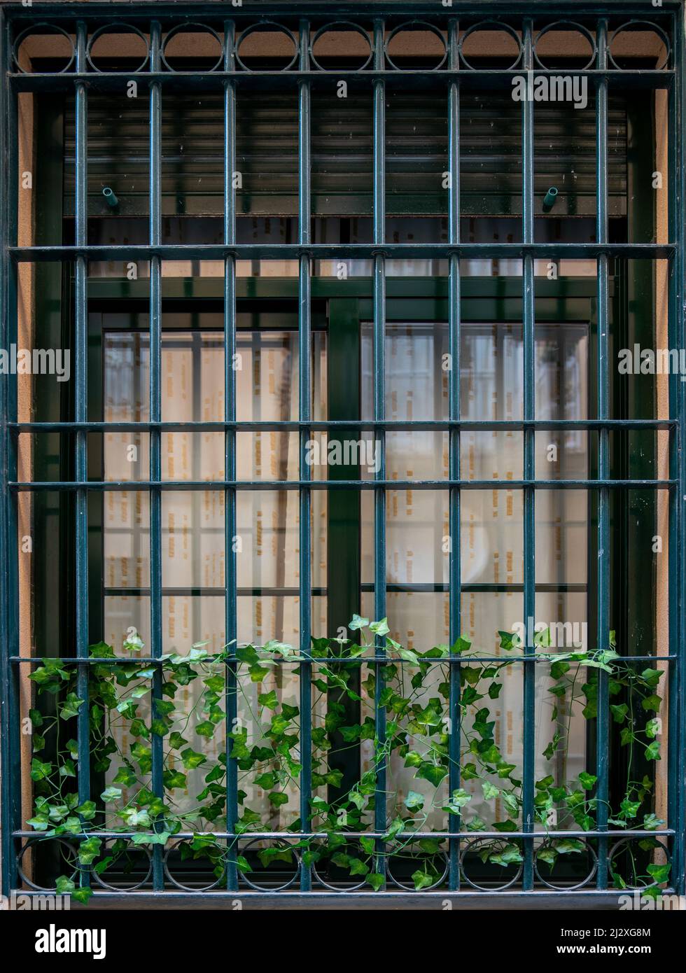 Security window grill metal hi-res stock photography and images - Alamy
