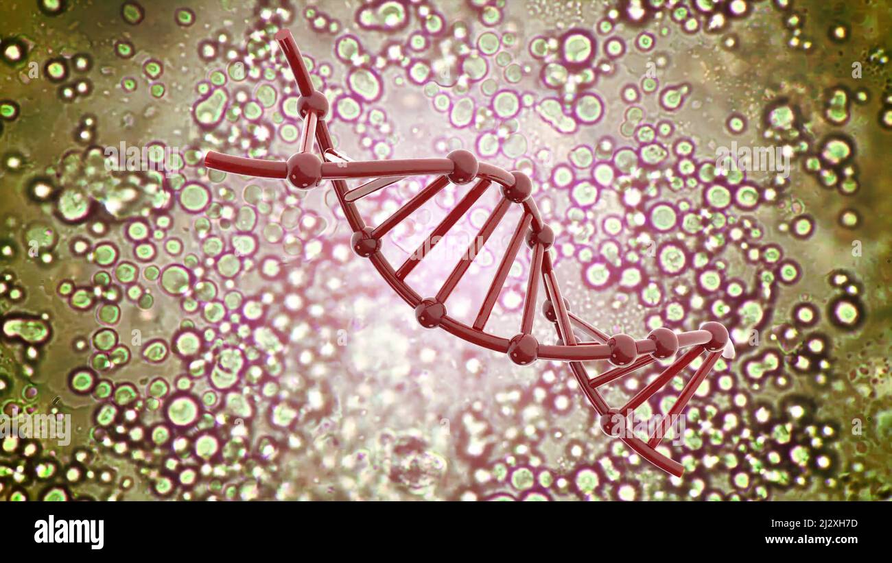 Microscopic view dna hi-res stock photography and images - Alamy