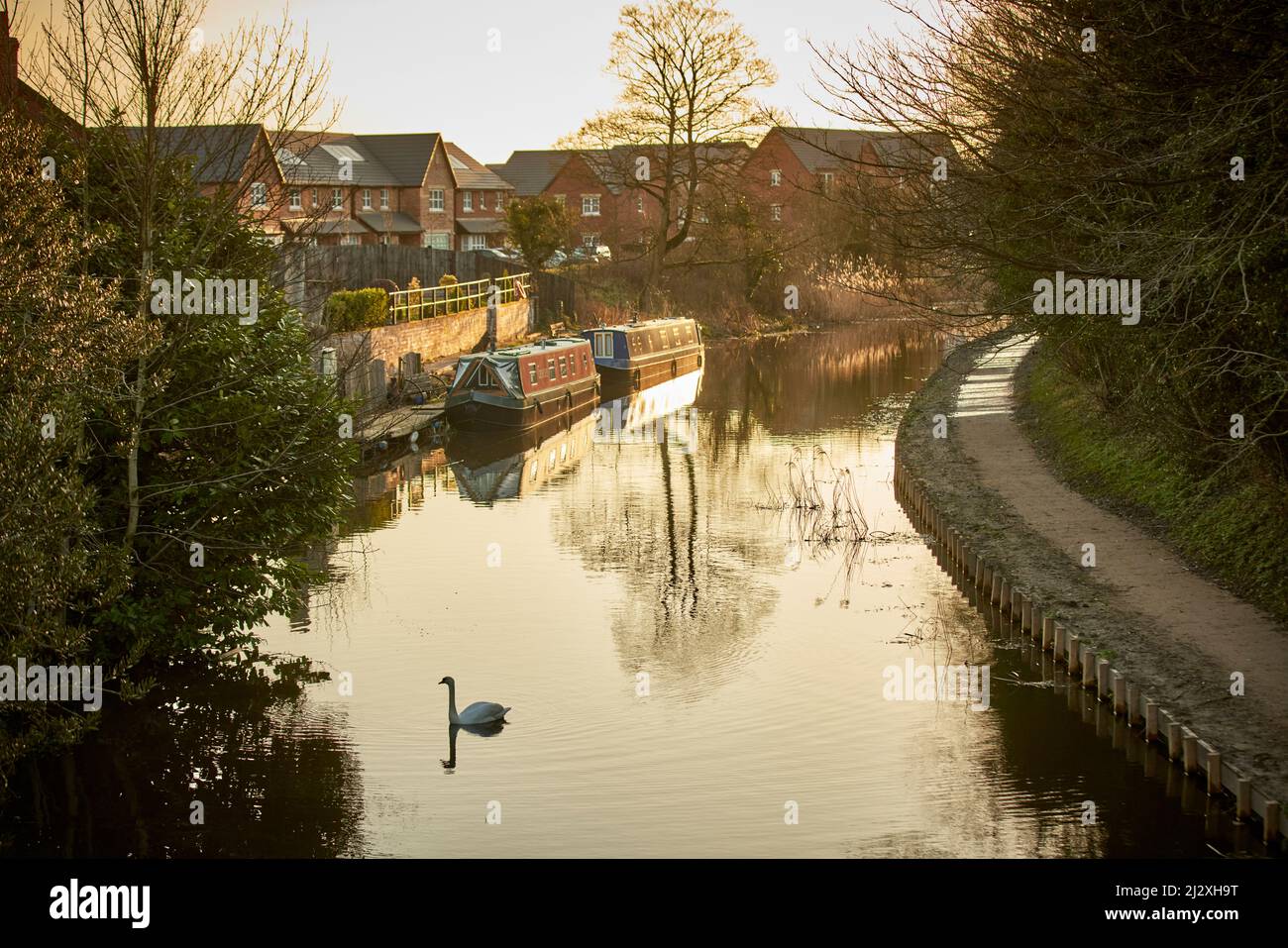 Cottam preston hi-res stock photography and images - Alamy