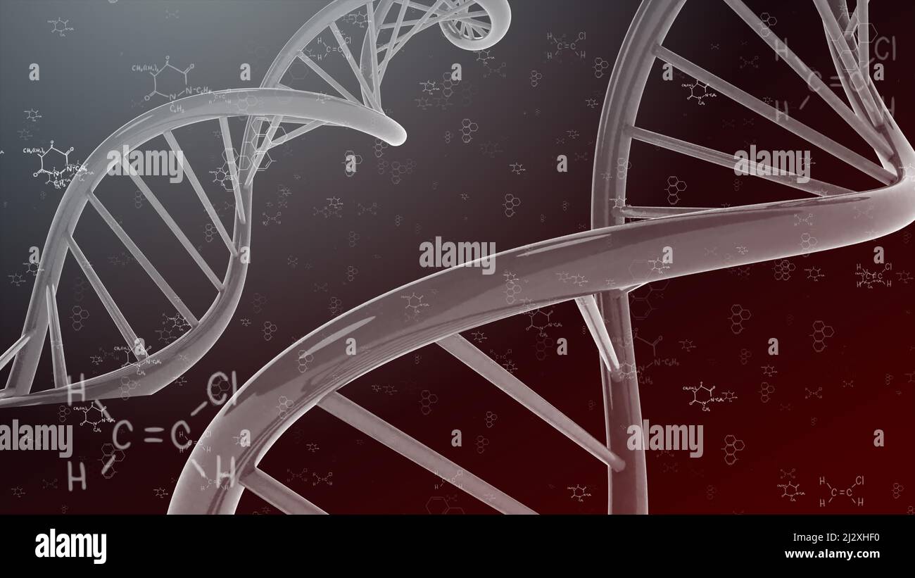 Computer Generated Human DAN System Anatomy Stock Photo - Alamy