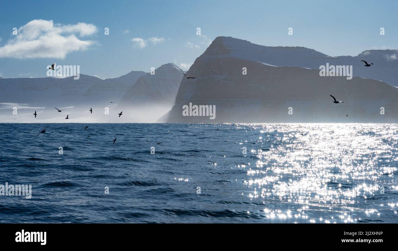 Hornvik Bay, Westfjords, Iceland, Europe Stock Photo - Alamy
