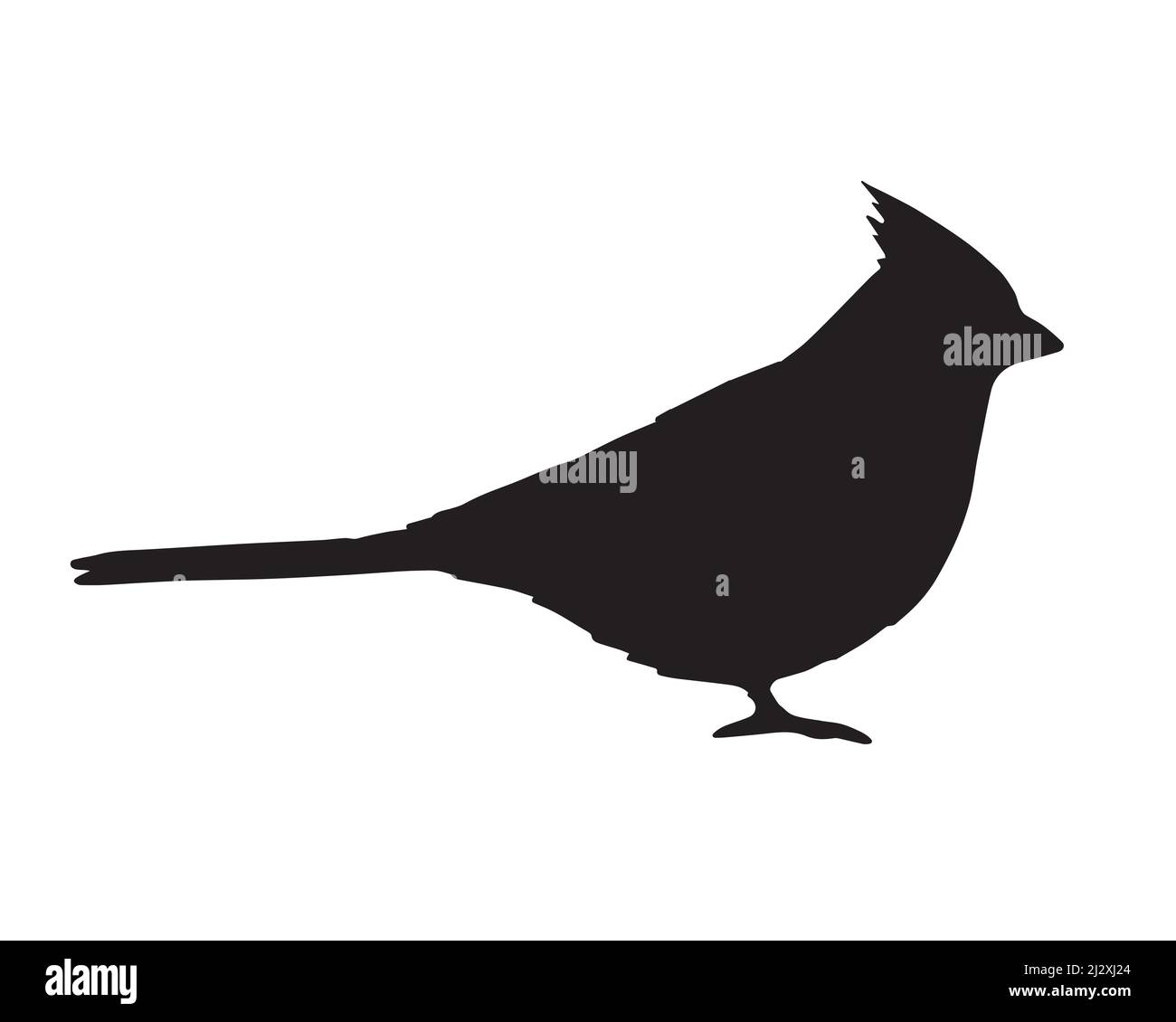 Vector black flat red cardinal bird silhouette isolated on white ...