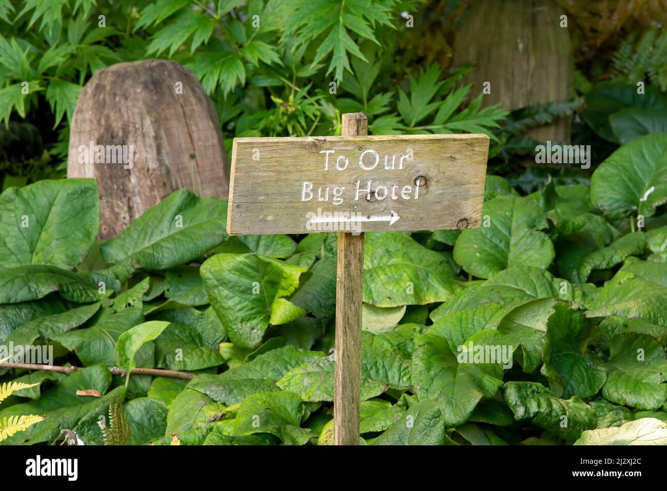 Bug hotel sign hi-res stock photography and images - Alamy