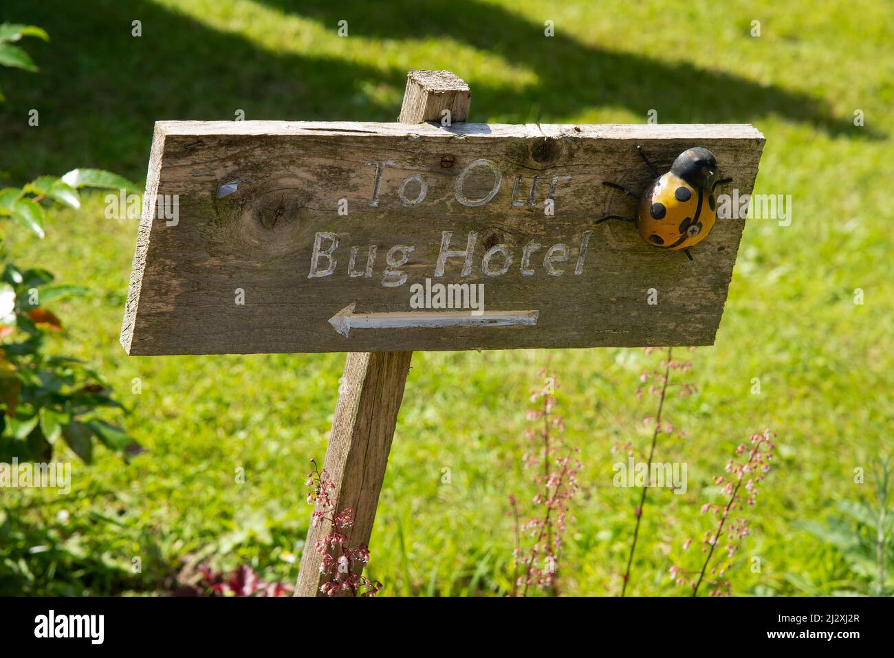 A wooden garden sign with arrow to Bug hotel with ladybir Stock Photo ...