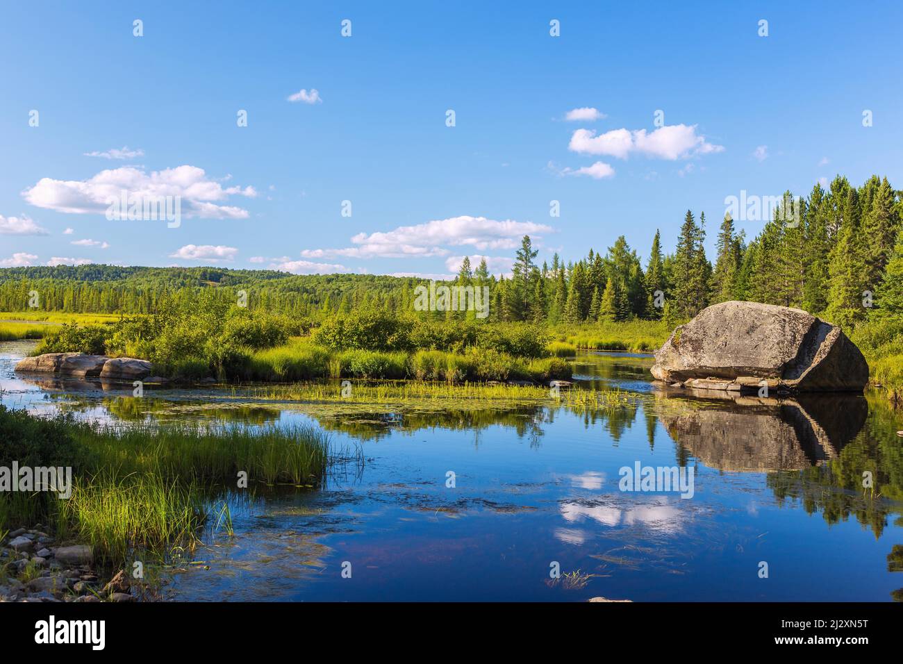 Algonquin Provincial Park, Opeongo Lake, Opeongo River Stock Photo - Alamy