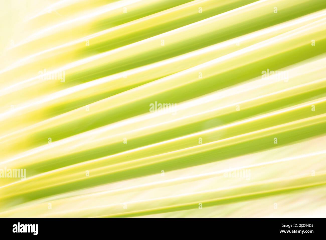 Abstract illustration. Straight shapes and colors. Photography with ...