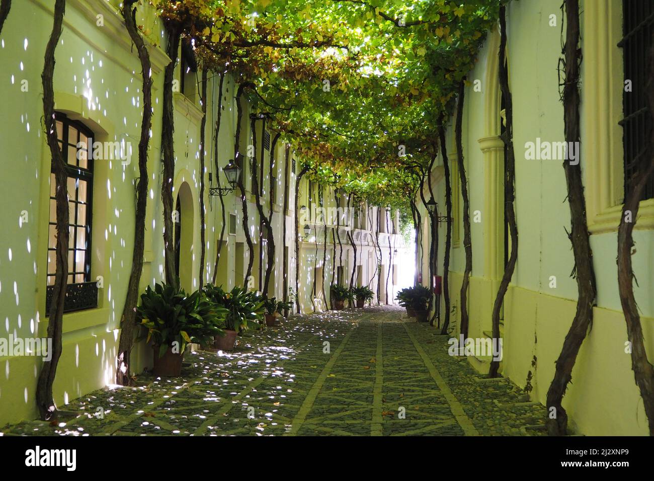 Courtyard of a sherry bodega in Jerez de la Frontera, Andalusia, Spain ...