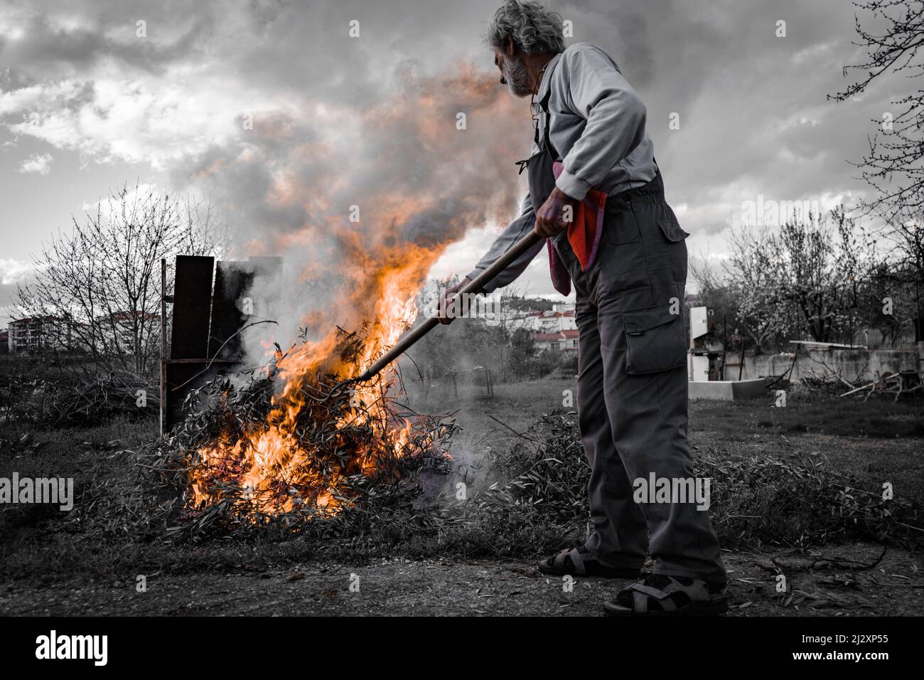 An old man throwing olive branches into the flames with the background ...