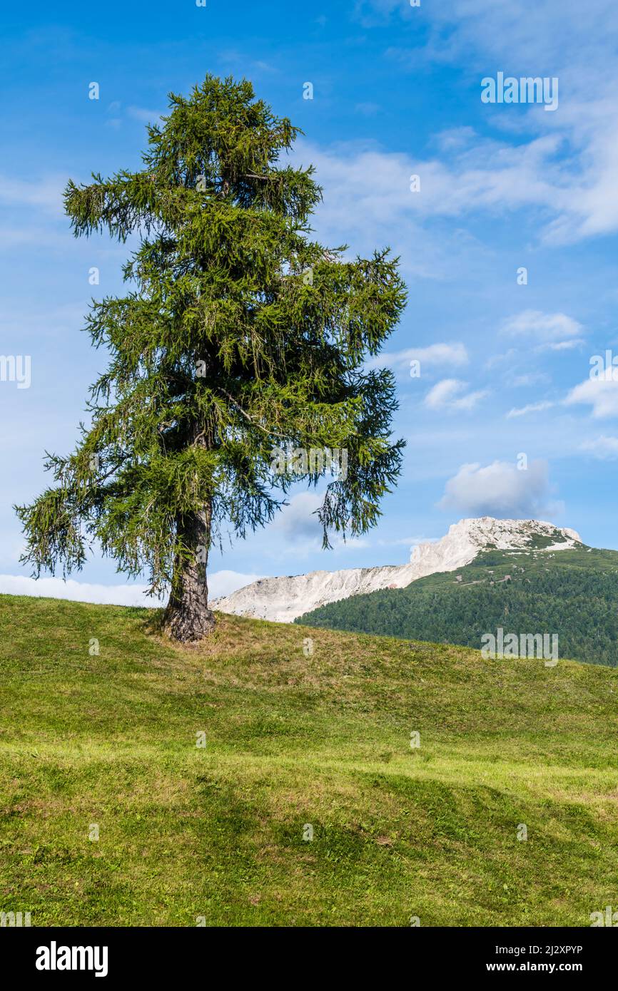 Mountain, Weißhorn, Aldein, Radein, South Tyrol, Alto Adige, Italy ...