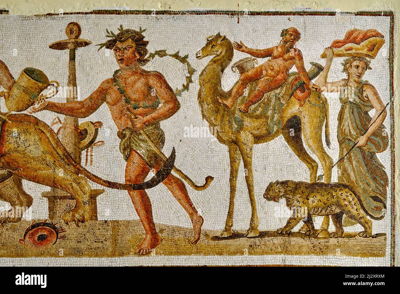 Tunisia, Tunisian central coast, El Jem, El Jem museum, mosaic ...