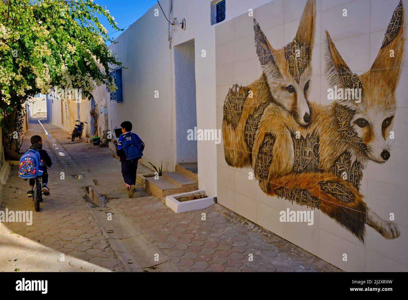 Tunisia, southern region, Governorate of Medenine, island of Djerba ...