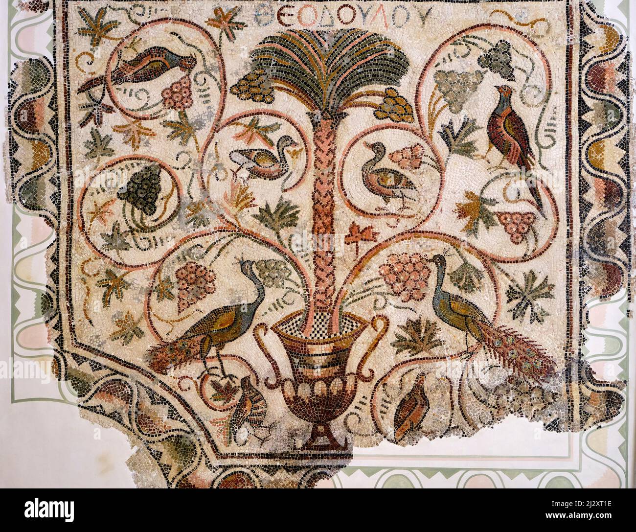 Tunisia, Sousse, archaeological museum, mosaic representing floral ...
