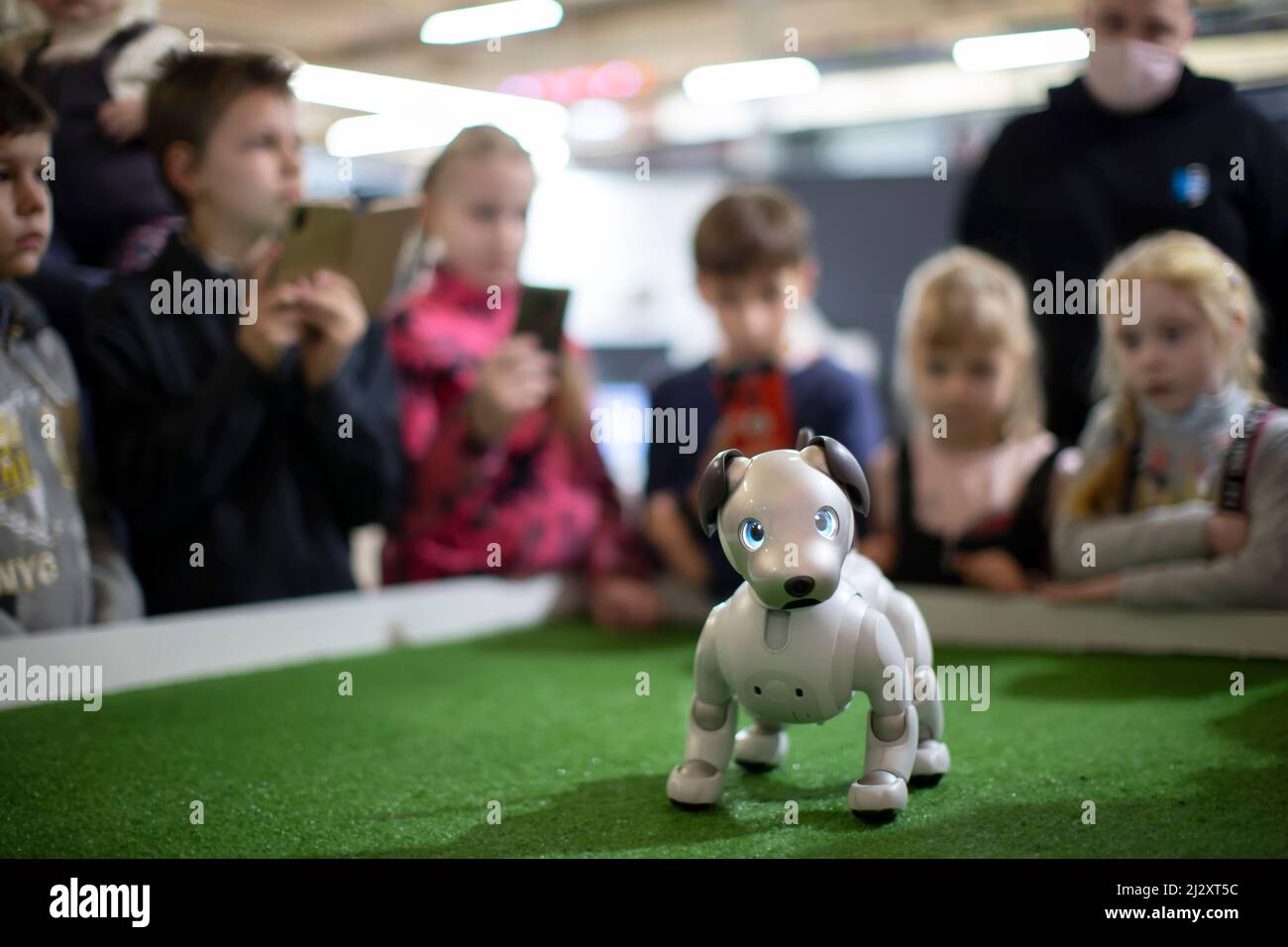 Robot Festival. Robot dog on the background of children Stock Photo - Alamy