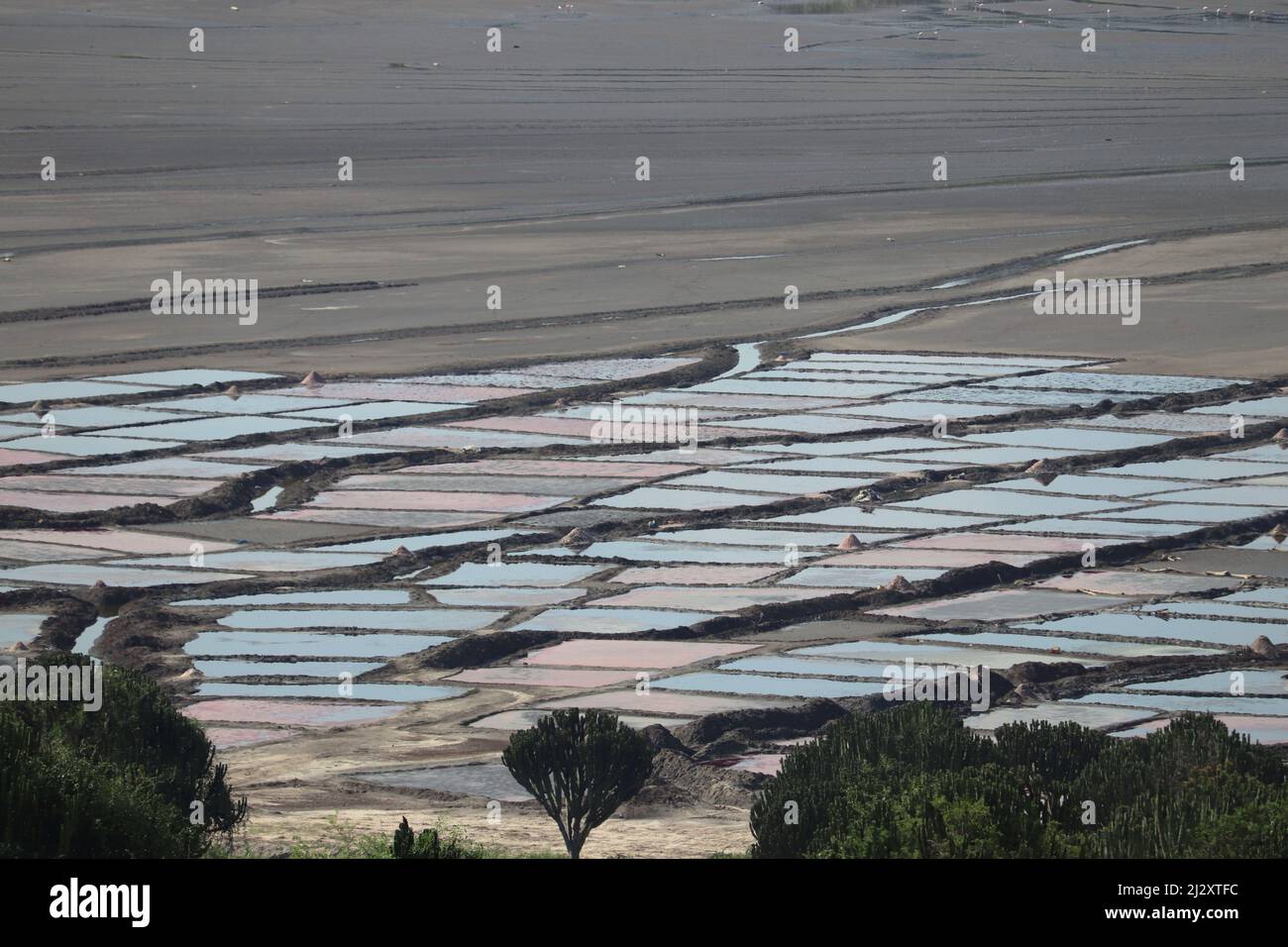 Uganda; Western Region; Queen Elizabeth National Park; Salt pans in ...