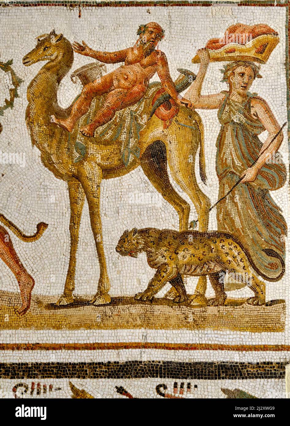 Tunisia, Tunisian central coast, El Jem, El Jem museum, mosaic ...