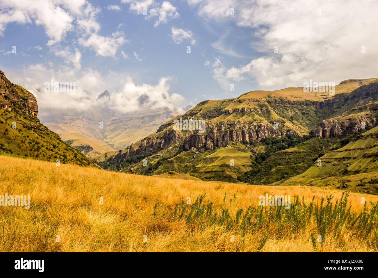 The Afromontane grassland of the Drakensberg Mountains, with the Peak ...