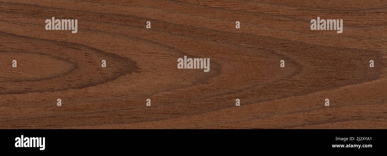 Expensive natural nut veneer. Pattern of a long veneer sheet Stock ...