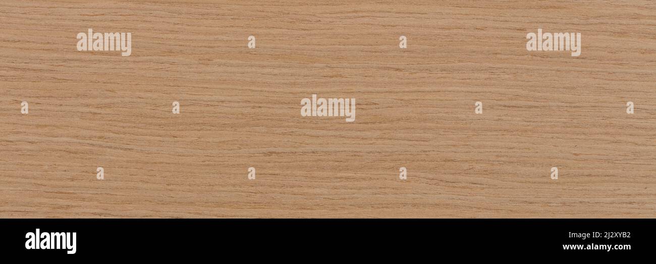 Natural oak veneer in perfect beige color. Natural wood texture Stock ...