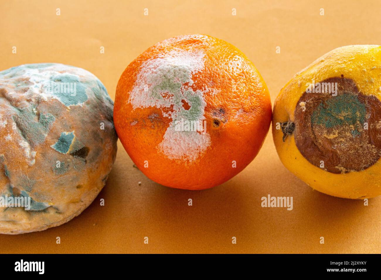 Moldy foods. Top view of rotten bread, orange and quince on color ...