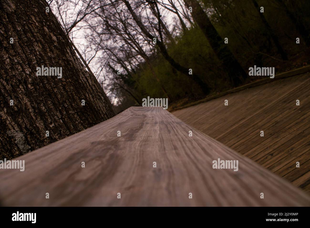 A view of a long and narrow wooden bridge at Suwanee Town Center Park ...