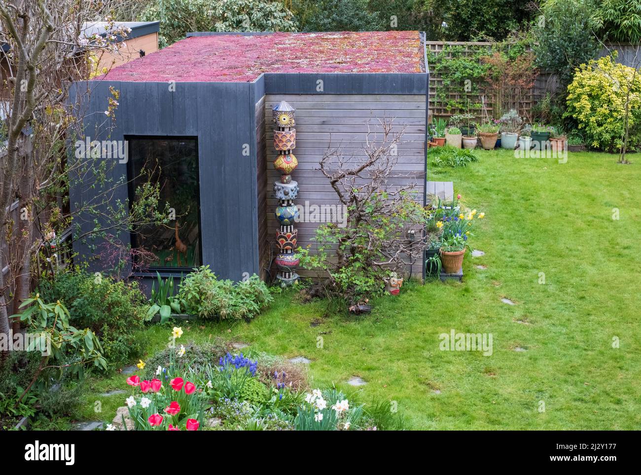 Eco sustainable garden studio office room with cedar cladding and ...