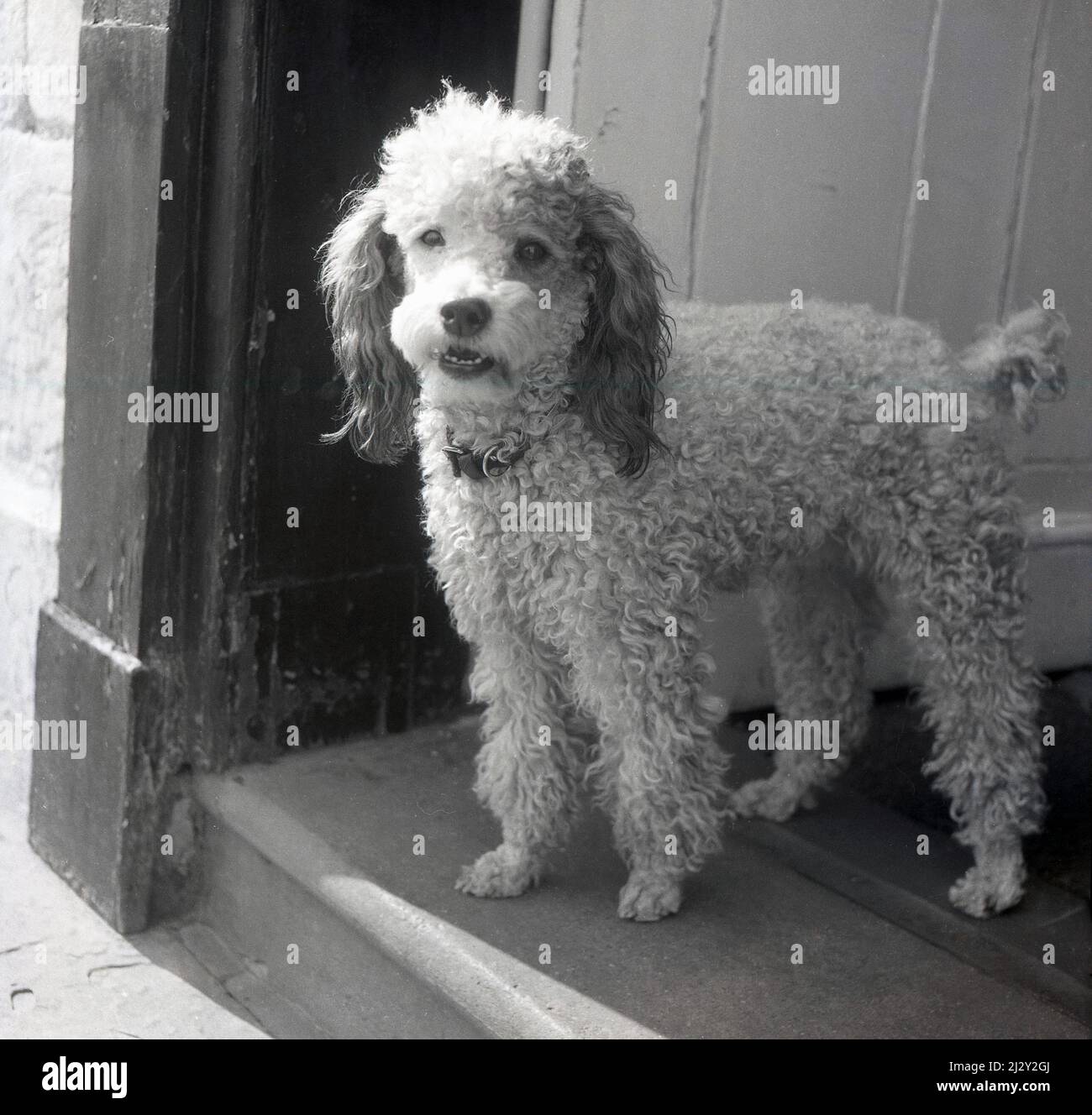 Historic northampton house hi-res stock photography and images - Alamy