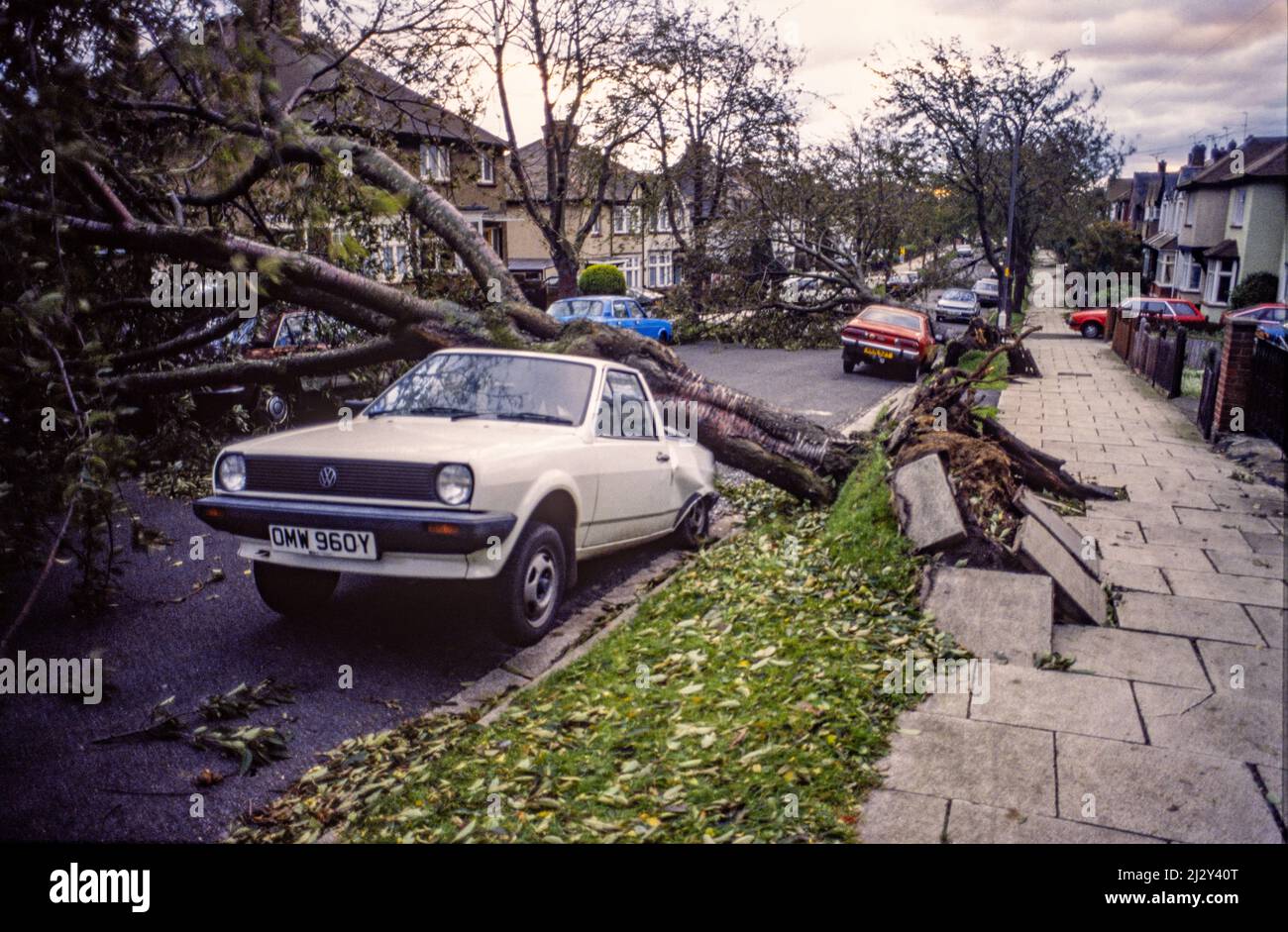 Aftermath of the great storm of October 1987 in Gravesend Kent Stock ...