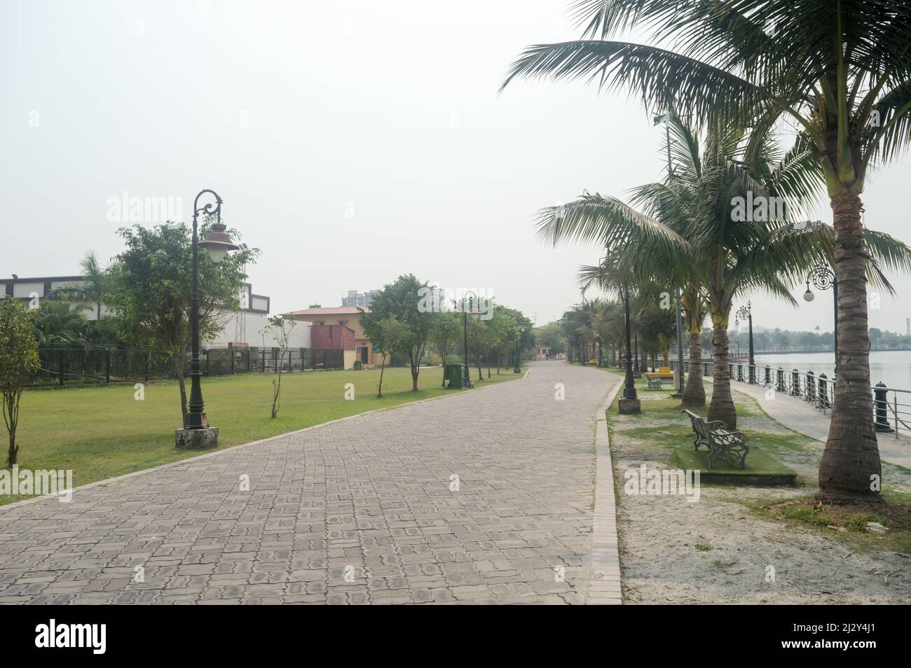 Park Road coconut tree lane in Eco Park Kolkata in sunset Stock Photo ...
