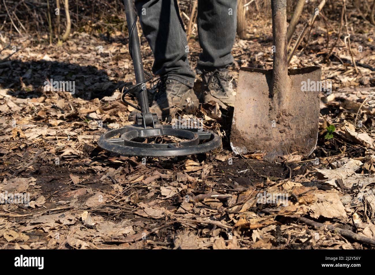 Person with metal detector hi-res stock photography and images - Alamy