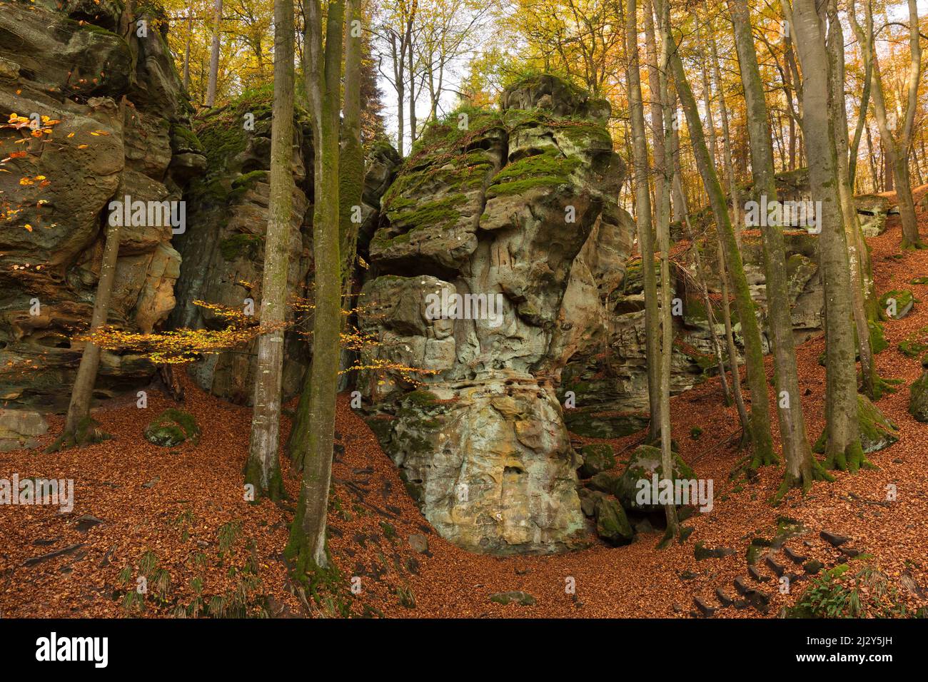 Sandstone rocks in the Teufesschlucht, Eifel, Rhineland-Palatinate ...