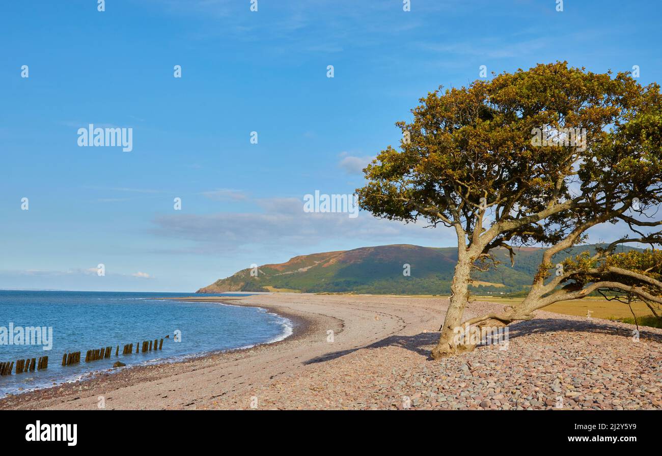 Porlock Weir, Somerset Stock Photo - Alamy