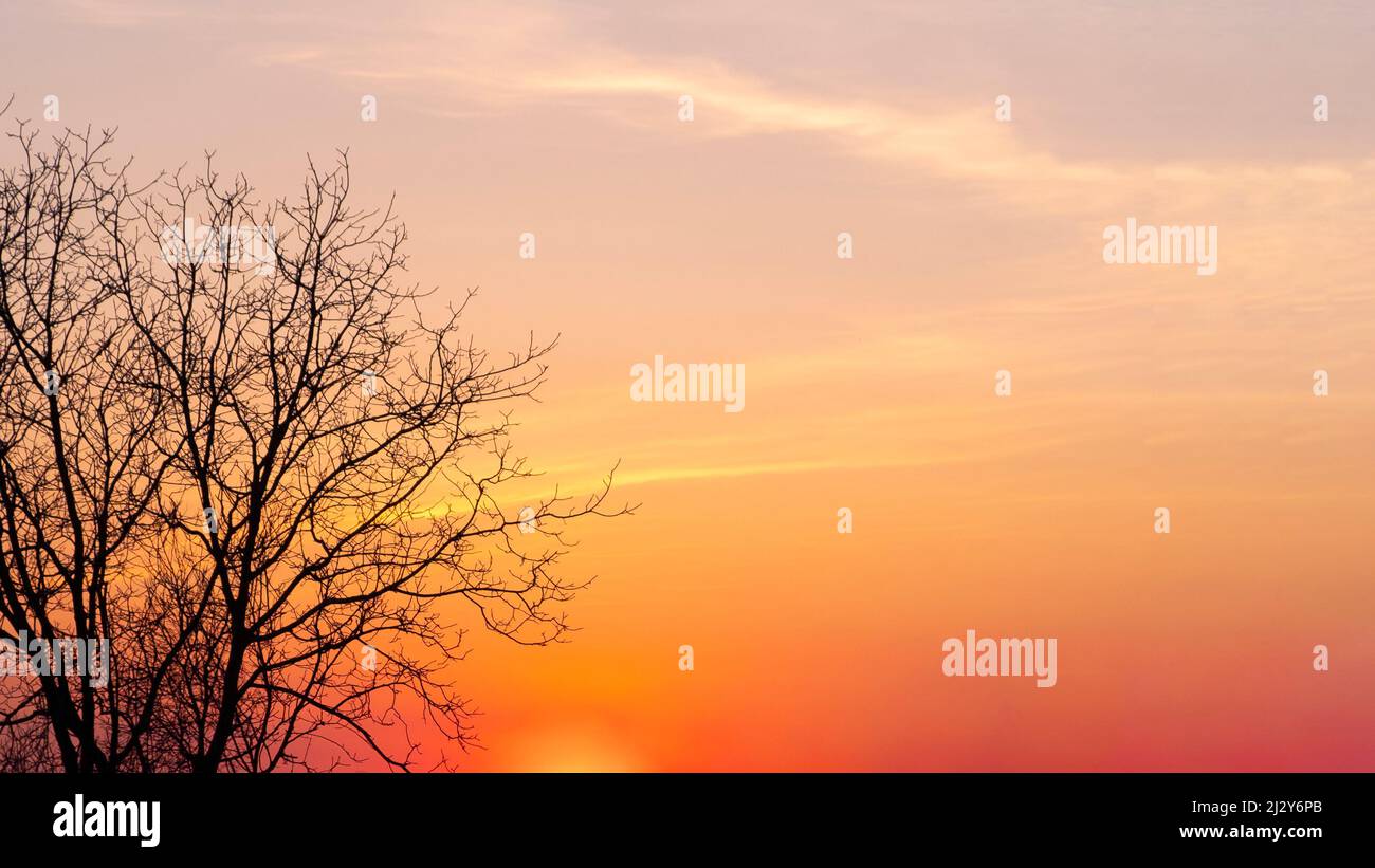 Orange toned wood hi-res stock photography and images - Alamy