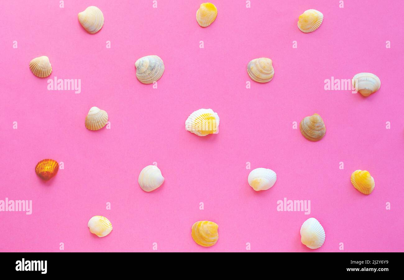 Pink sea shell hi-res stock photography and images - Alamy