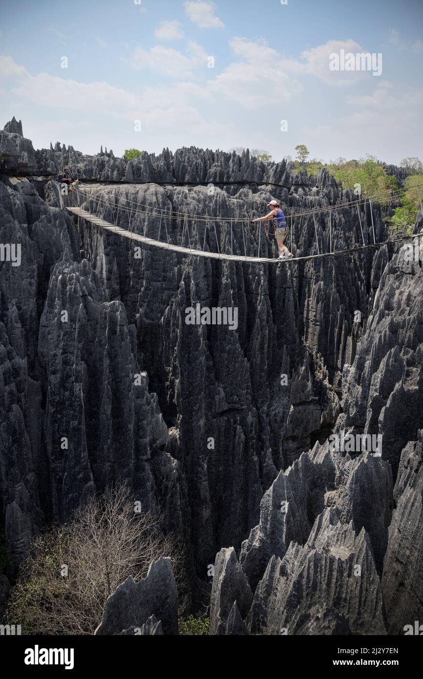 Woman anxiously crossing rope bridge, karst landscape in Tsingy de ...