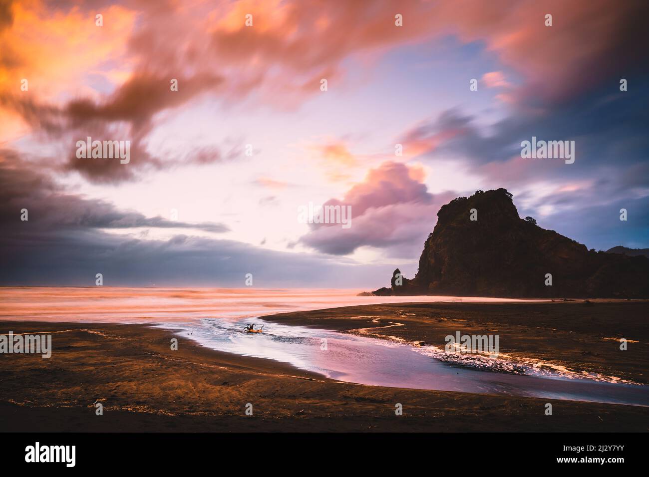 The beautiful wide-angle shot of Piha Beach at sunset, Auckland, New ...