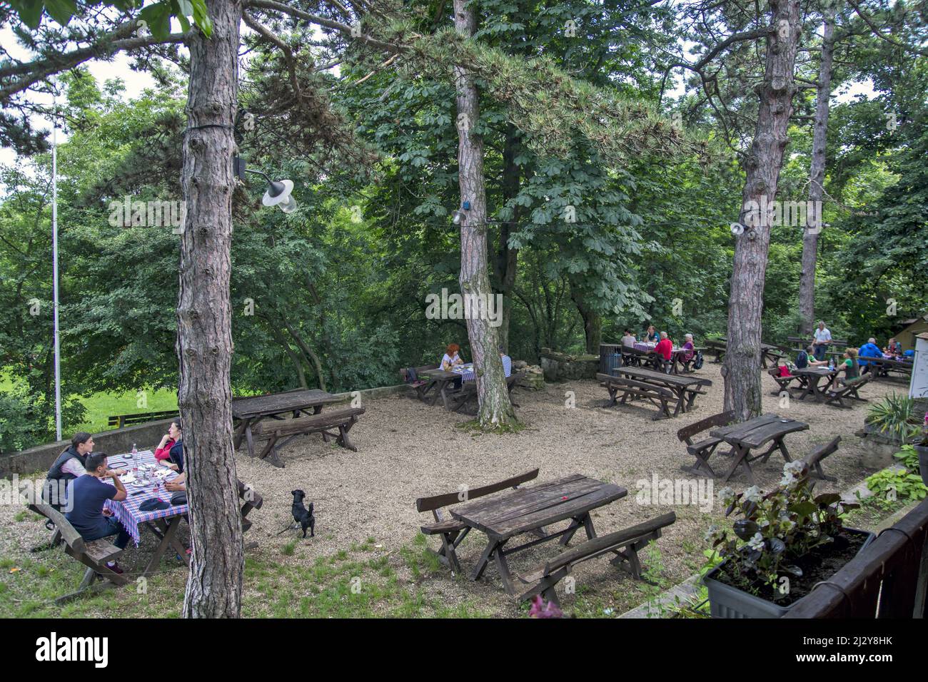 The beautiful and pleasant restaurant in the woods uses a mountain ...