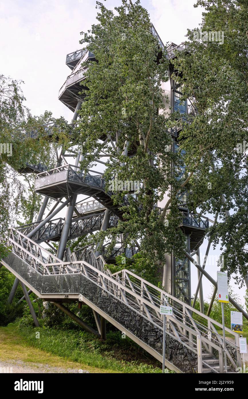 Tulln; The Tulln Gardens; Treetop Walk Stock Photo - Alamy