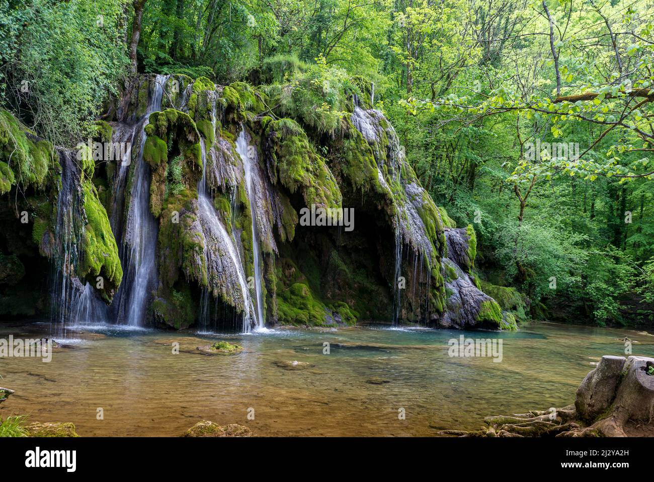 The beautiful waterfall scene in the middle of the forest Stock Photo ...
