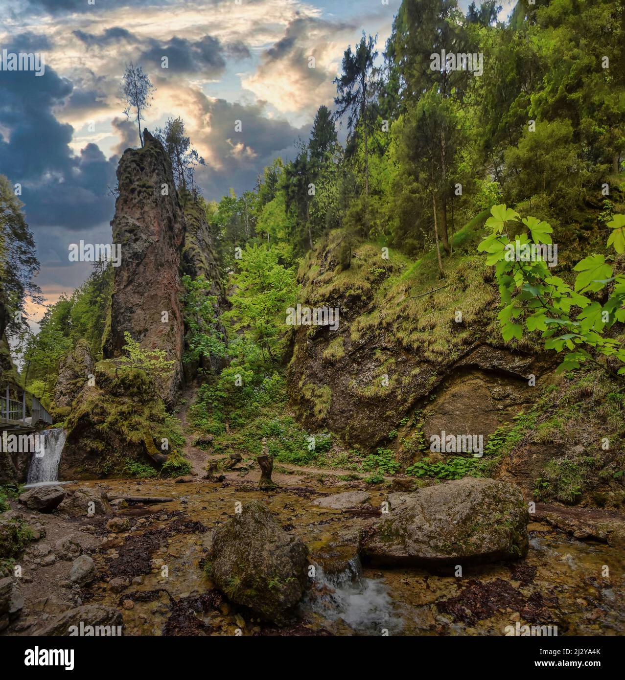 A beautiful shot of a rocky mountain forest in Slovakia Stock Photo - Alamy