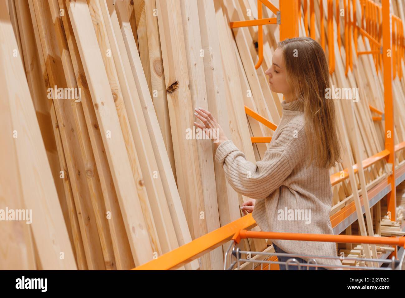 Woman choosing wooden plank in hardware store timber department ...