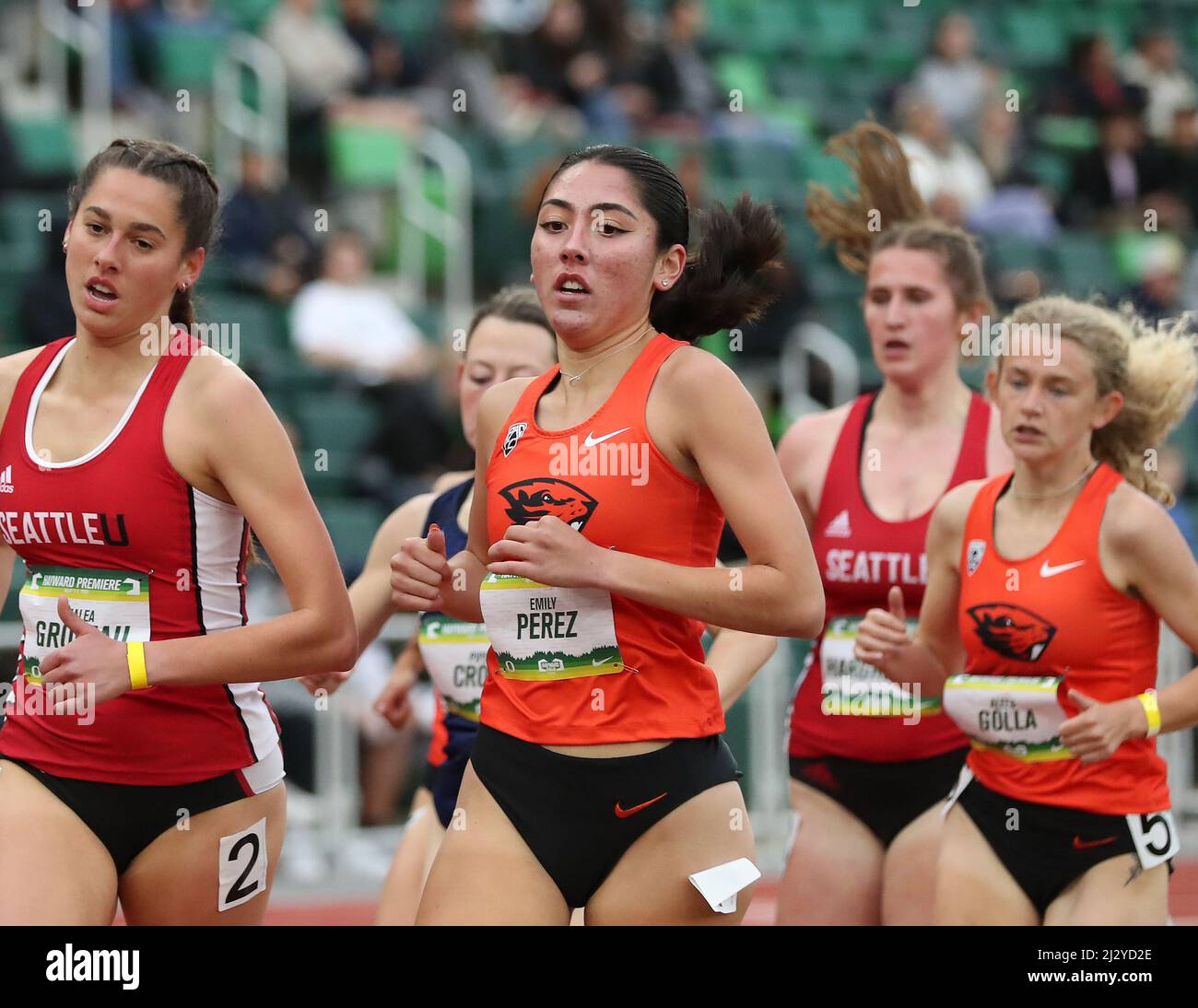 2022 0283 jpg hi-res stock photography and images - Alamy